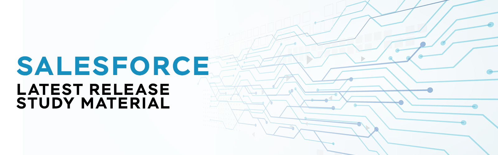 Ebsose -Salesforce Study Material